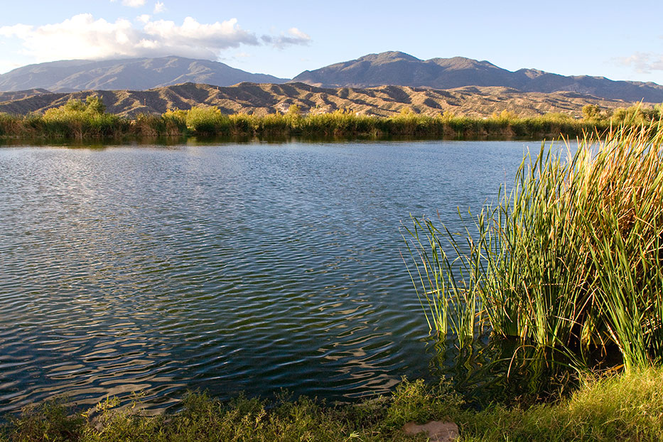 THRIVING ENVIRONMENTS | Freeport-McMoRan